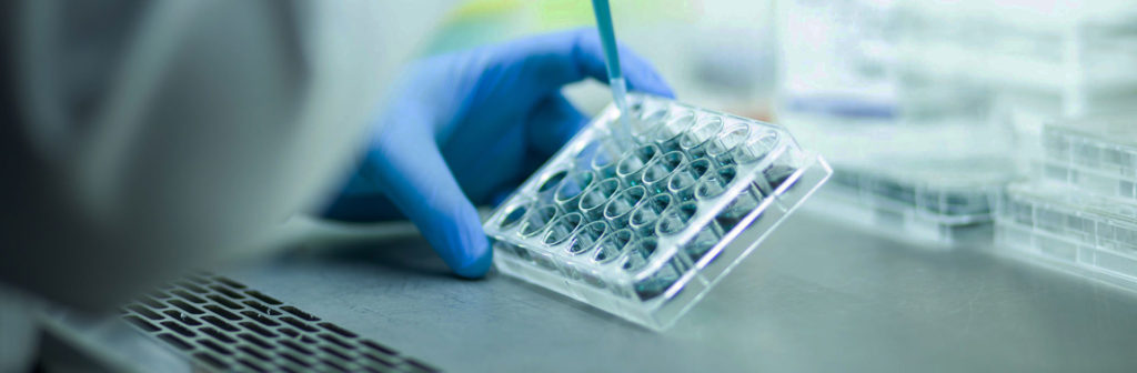 Cell Based Assays - Institute Krems Bioanalytics